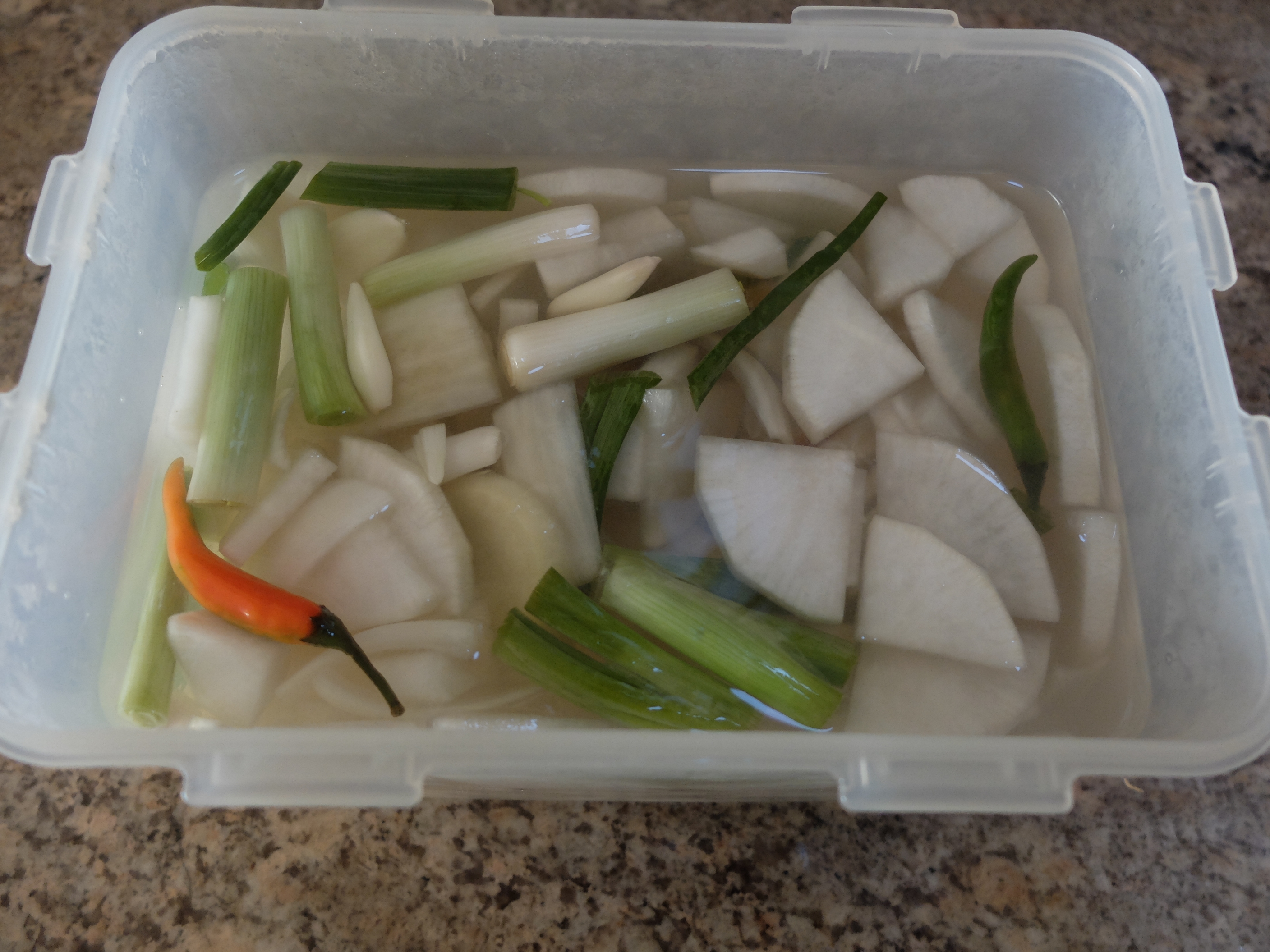 Dongchimi 동치미 (Radish Water Kimchi) – FoodgasmTKY